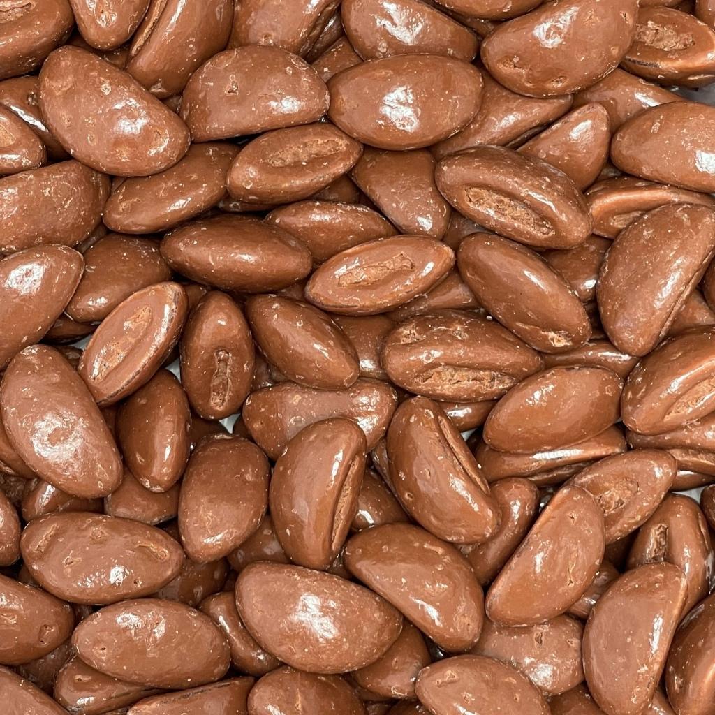 ALL – Page 4 – SOCKERBIT